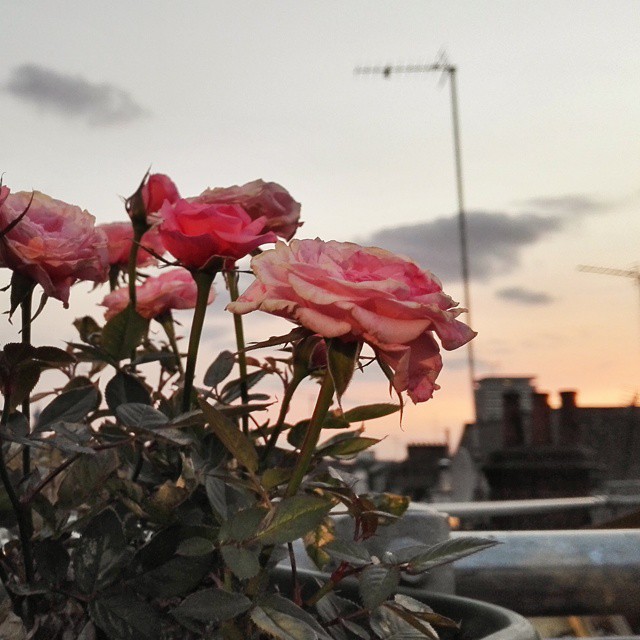 11 Things To Do in London Soho