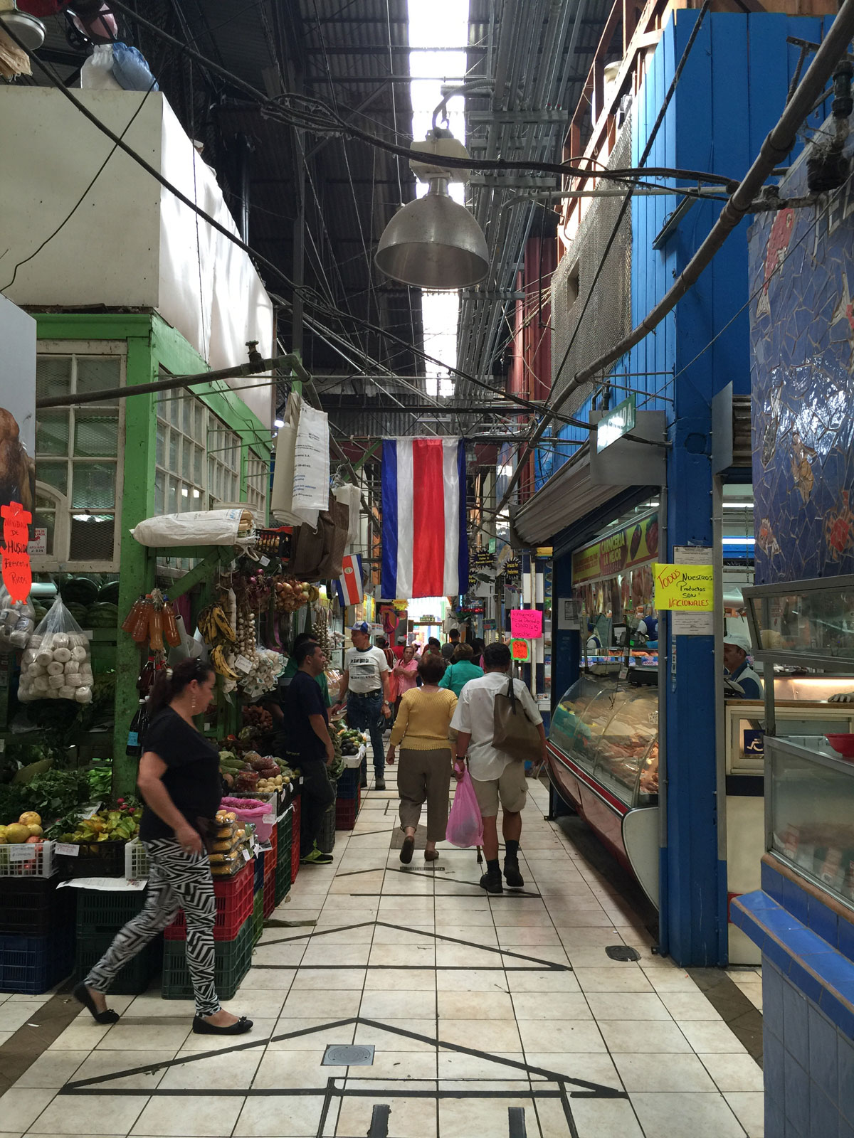 Beginner's Guide to Costa Rica - For First Time Visitors