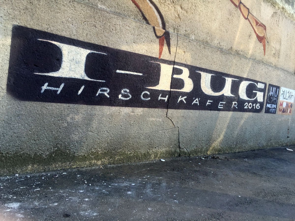PHOTOS: Saxony's iBug Festival for Street Art