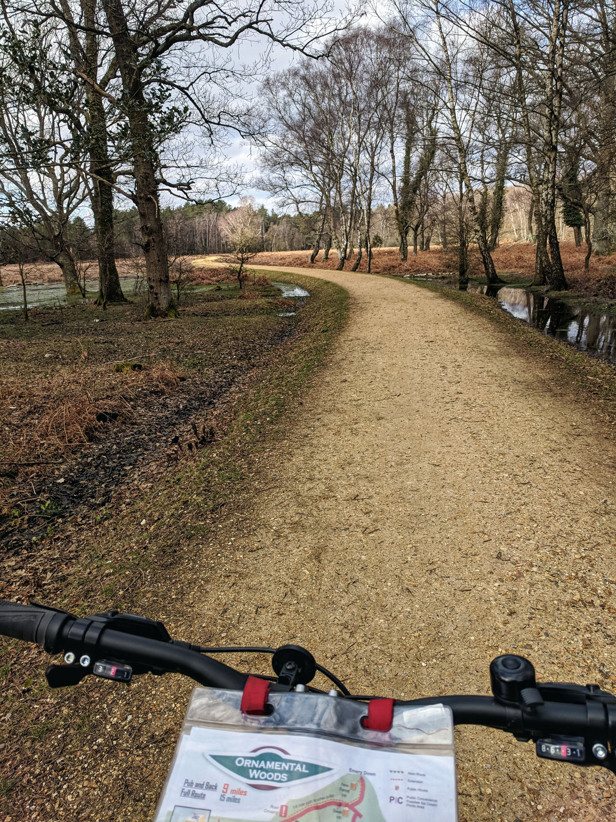 Walking (and Cycling) the New Forest - A Weekend Escape