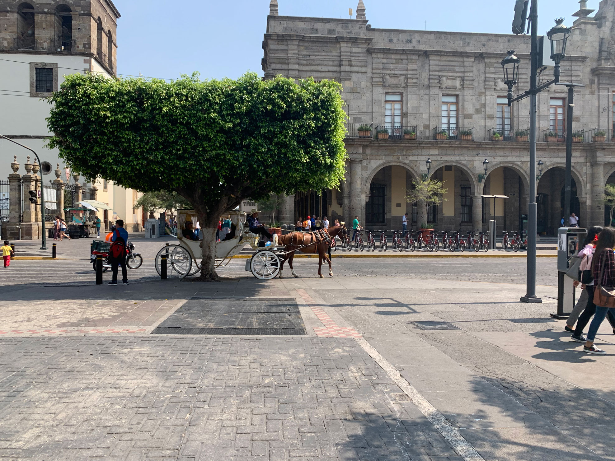 Guadalajara Moments - Travel Photos from Jalisco's Capital (during ...
