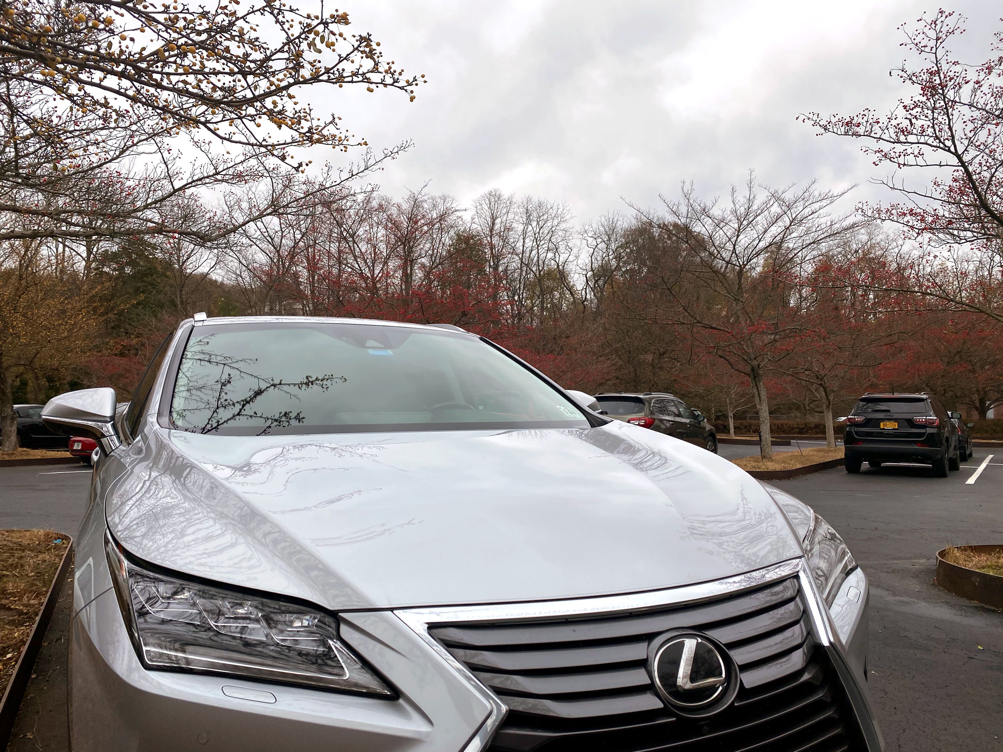 Taking the 2019 Lexus RX 350L on a Solo Road Trip